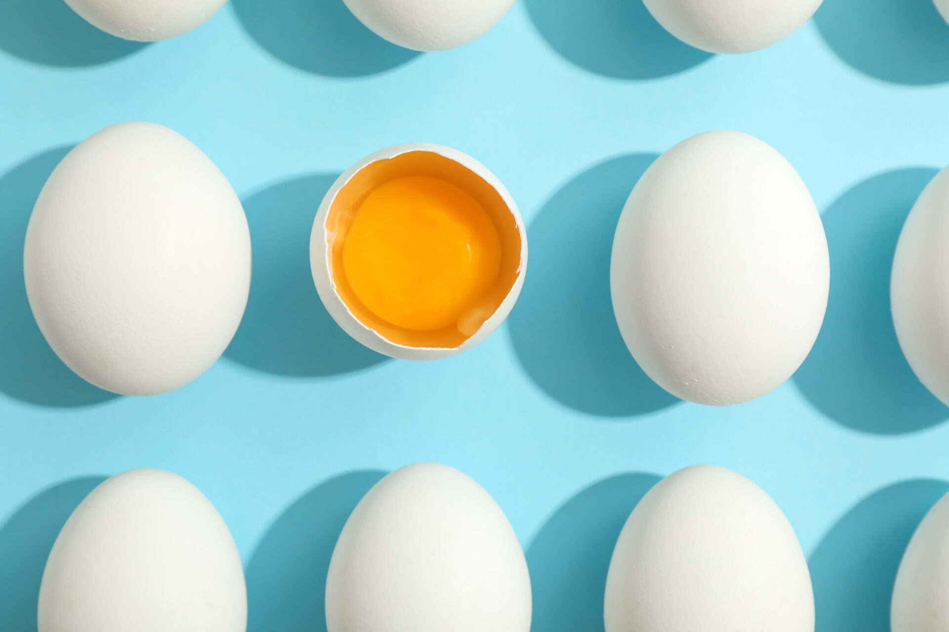 A Closer Look at an Egg Allergy | Langford Allergy