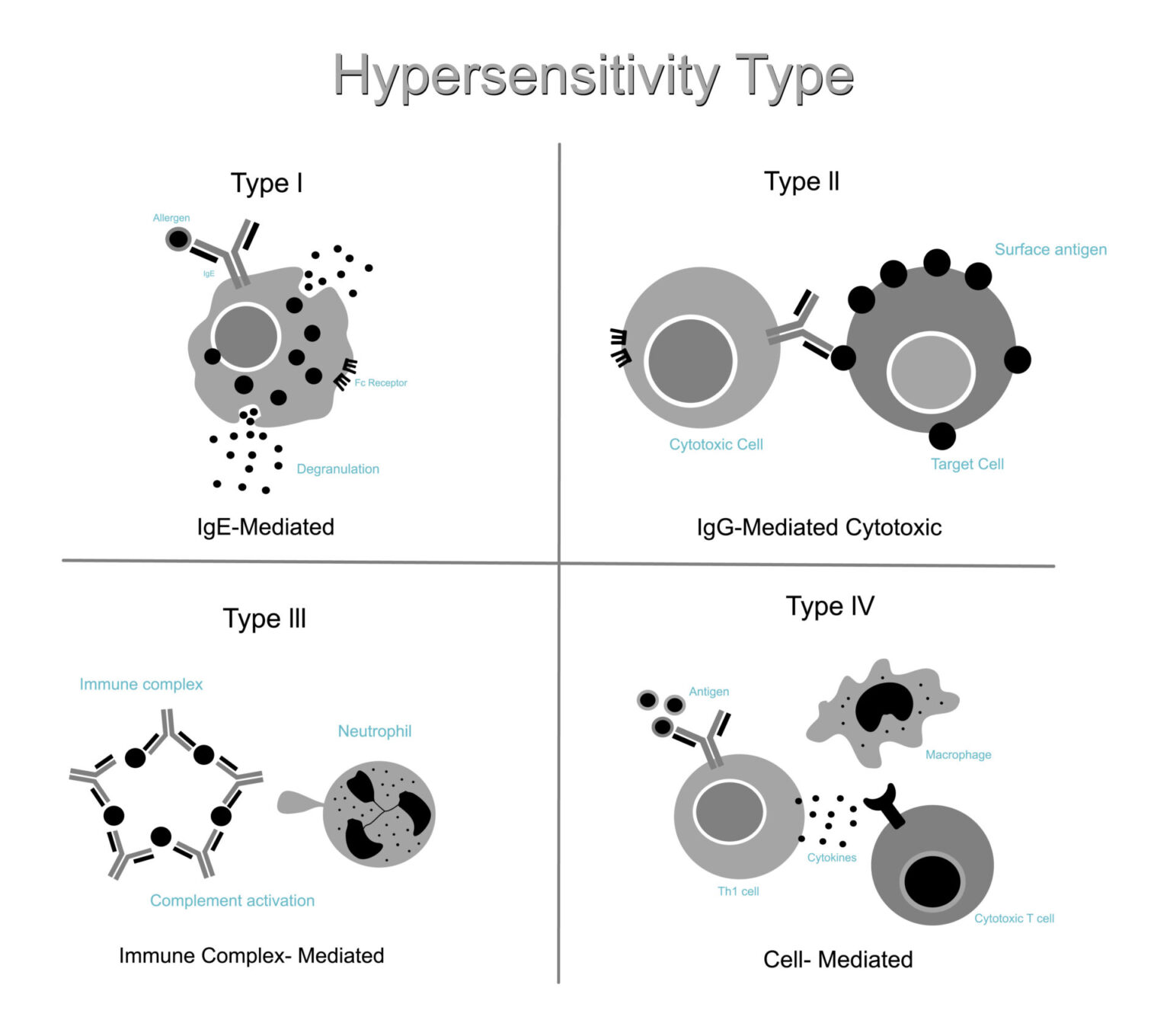 A Closer Look at the 4 Types of Allergic Reactions